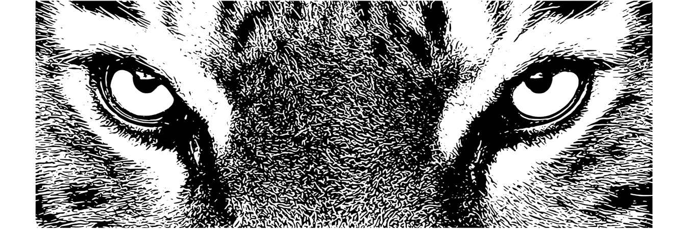 Eye Ink: Latest Eye Tattoo Designs | Inkbox™ | Semi-Permanent Tattoos