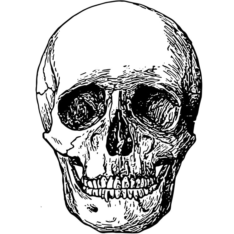 Skull Hand Tattoos: Designs & Ideas | Inkbox™ | Semi-Permanent Tattoos