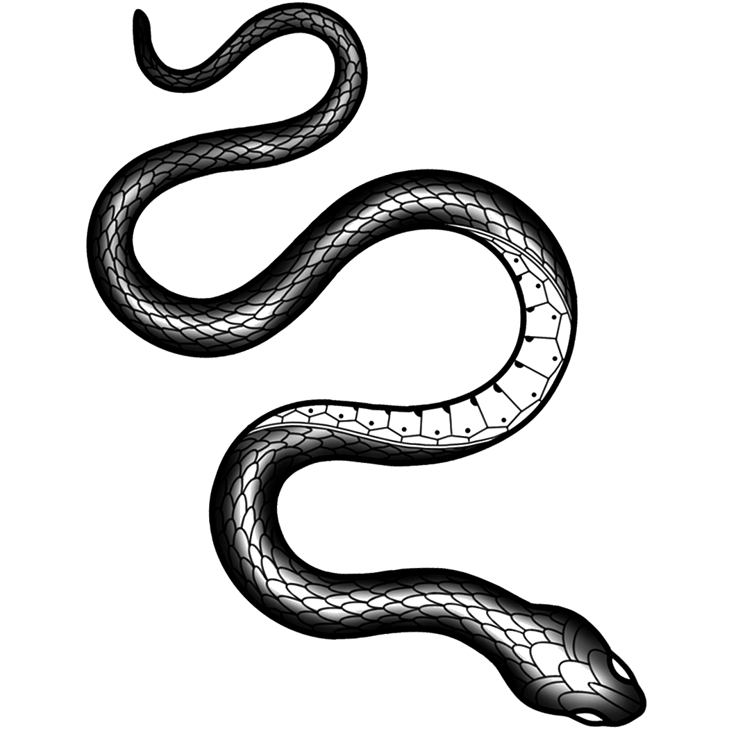 Mara Semi-Permanent Tattoo. Lasts 1-2 weeks. Painless and easy to apply ...