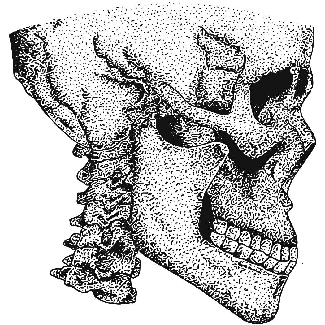 Skobo Semi-Permanent Tattoo. Lasts 1-2 weeks. Painless and easy to ...