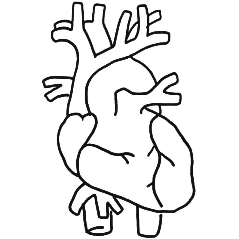 Shop Emily Malice tattoos online | Inkbox™ | Semi-Permanent Tattoos