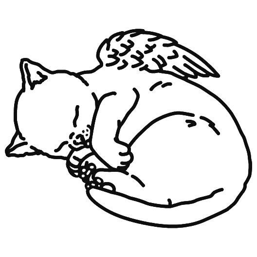 Kip Semi-Permanent Tattoo. Lasts 1-2 weeks. Painless and easy to apply ...