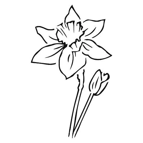 Jonquils Tattoo - Semi-Permanent Tattoos by inkbox™ | Inkbox™ | Semi ...