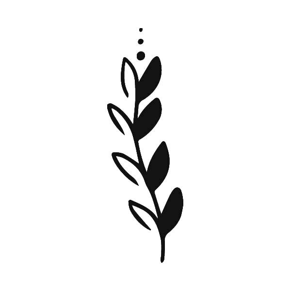 Vera Semi-Permanent Tattoo. Lasts 1-2 weeks. Painless and easy to apply ...