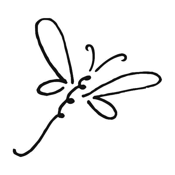 Cryptic Crow | Inkbox™ | Semi-Permanent Tattoos