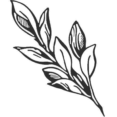 Greens Tattoo - Semi-Permanent Tattoos by Inkbox™