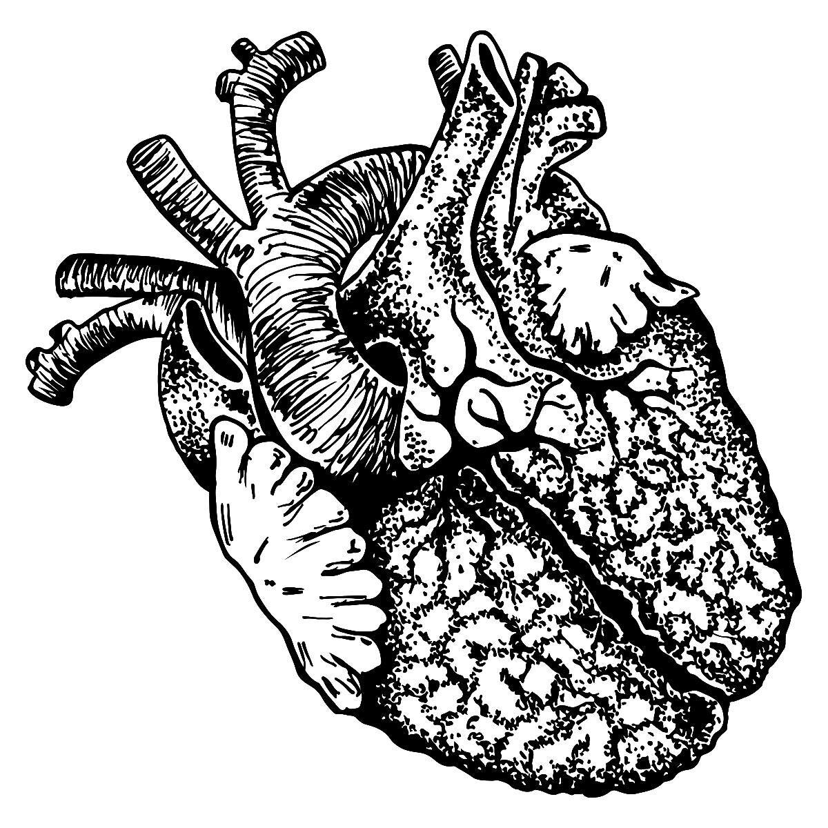 In Between Tattoo - Semi-Permanent Tattoos by Inkbox™