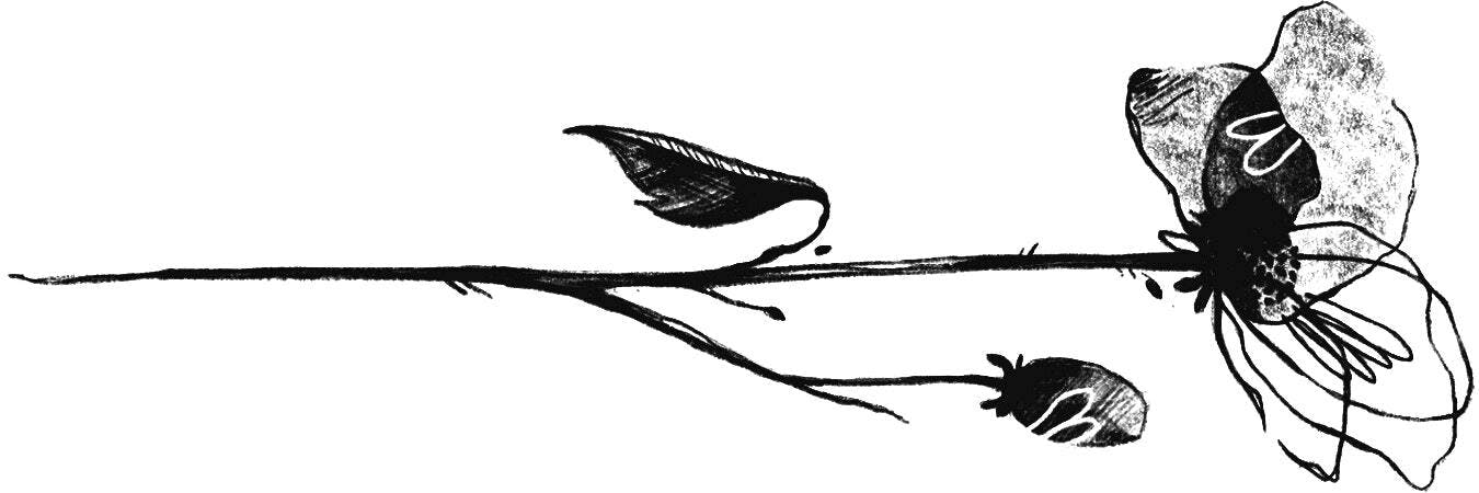 Popus Tattoo - Semi-Permanent Tattoos by Inkbox™