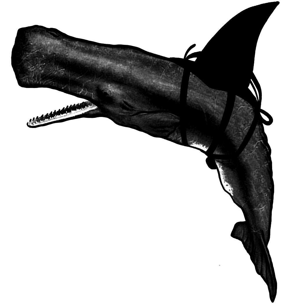 Moby Tattoo - Semi-Permanent Tattoos by inkbox™ | Inkbox™ | Semi ...