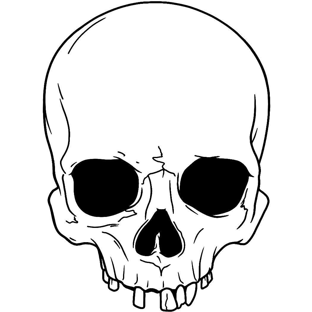 Skullcap Tattoo - Semi-Permanent Tattoos by Inkbox™