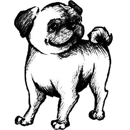 Pug Love Semi-Permanent Tattoo. Lasts 1-2 weeks. Painless and easy to ...