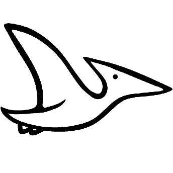 Terry Tattoo - Semi-Permanent Tattoos by Inkbox™