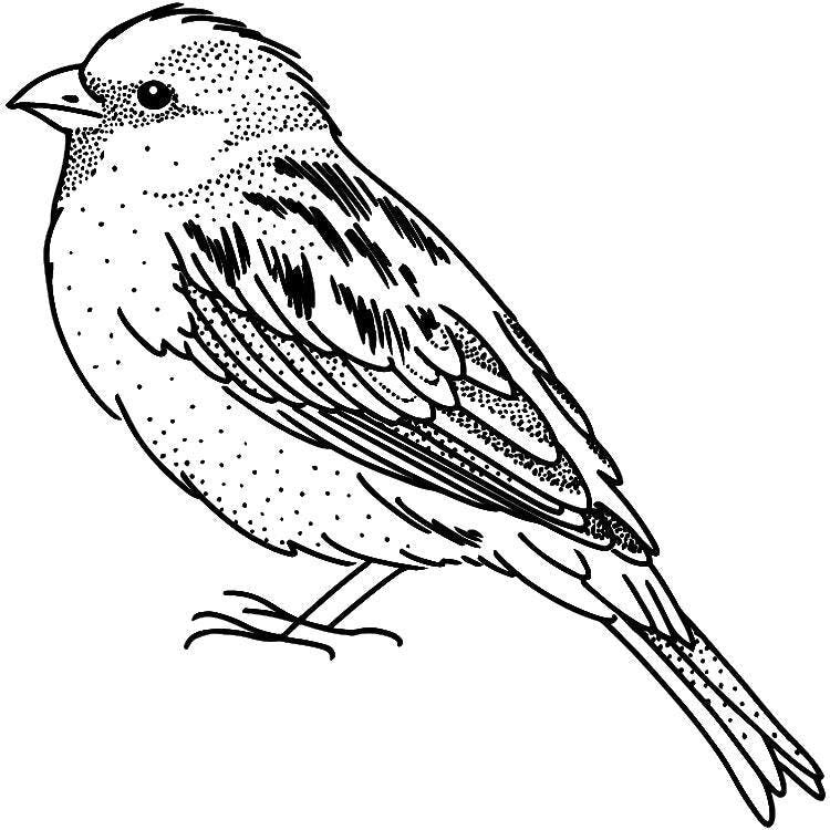 Gladden Tattoo - Semi-Permanent Tattoos by inkbox™ | Inkbox™ | Semi ...