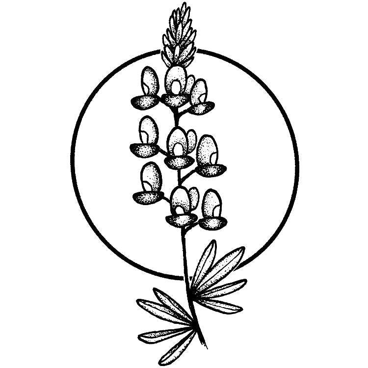 Werdgra | Inkbox™ | Semi-Permanent Tattoos