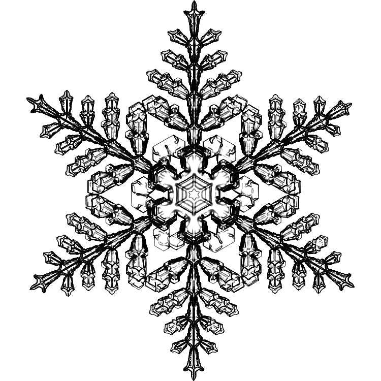 Ice Tattoos: Chill Ink Inspiration | Inkbox™ | Semi-Permanent Tattoos