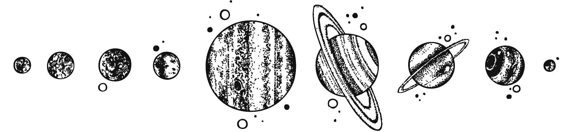 Plant Tattoos: Nature's Art on Your Skin | Inkbox™ | Semi-Permanent Tattoos