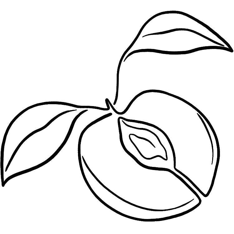 Georgia Tattoo - Semi-Permanent Tattoos by inkbox™ | Inkbox™ | Semi ...