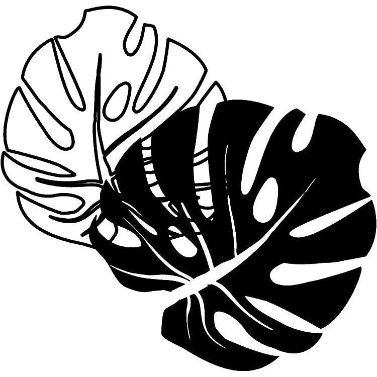 Monstera Ink: Tattoos for Plant Lovers | Inkbox™ | Semi-Permanent Tattoos