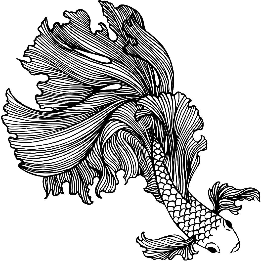 Curiosity Semi-Permanent Tattoo. Lasts 1-2 weeks. Painless and easy to ...