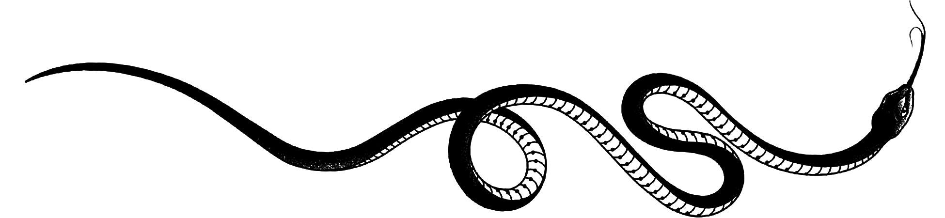 Guilty Party Semi-Permanent Tattoo. Lasts 1-2 weeks. Painless and easy ...