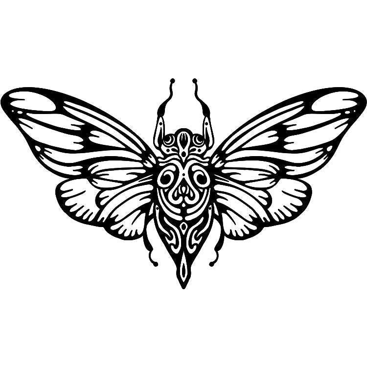 Cicada Tattoo - Semi-Permanent Tattoos by Inkbox™