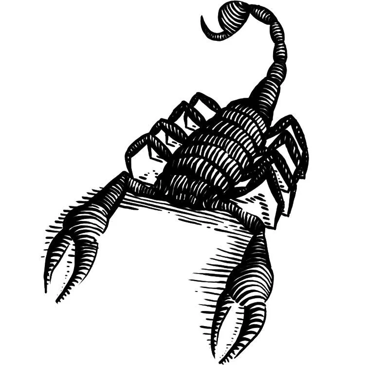 Lost Its Sting Tattoo - Semi-Permanent Tattoos by Inkbox™