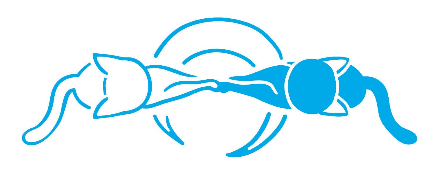 Kip Tattoo - Semi-Permanent Tattoos by inkbox™ - Inkbox™