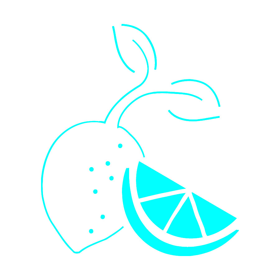 Citrus Tattoo - Semi-Permanent Tattoos by inkbox™ - Inkbox™